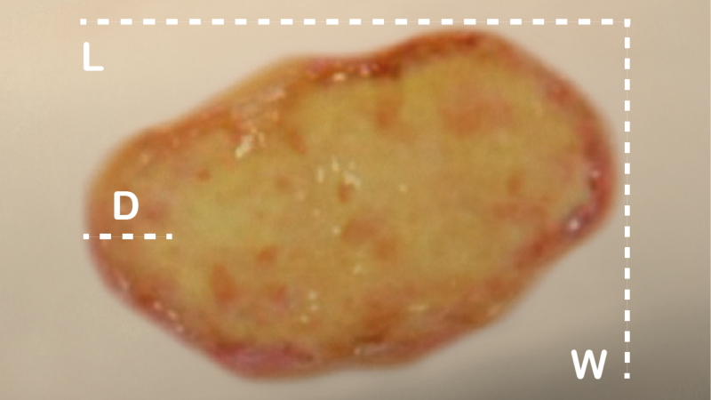 BioBag® bestellen - Lieferung am nächsten Tag - BioMonde